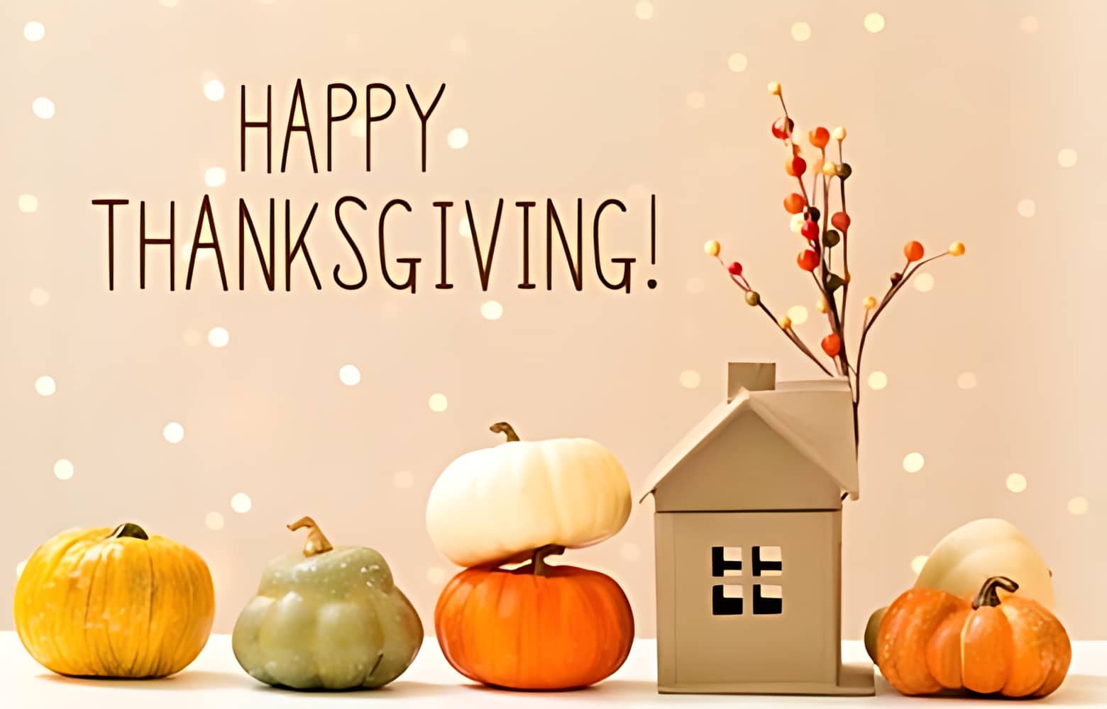 Thanksgiving Characters for Hire - Fabiola's Kids